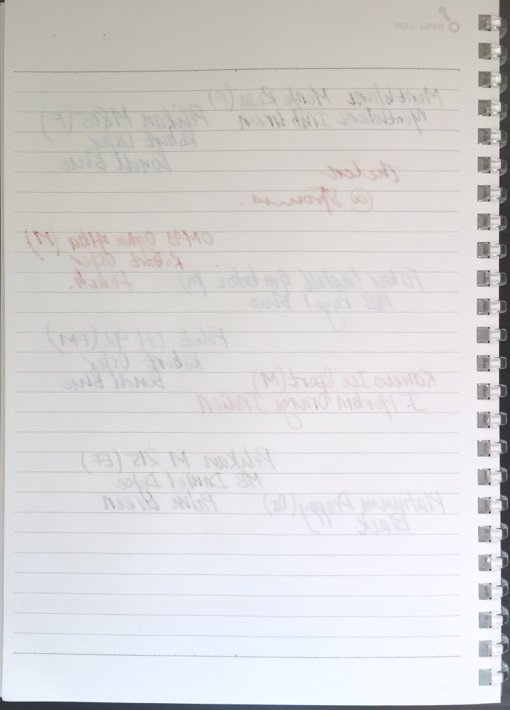 Some Fountain Pen Friendly Budget Notebook Options | Pete Denison